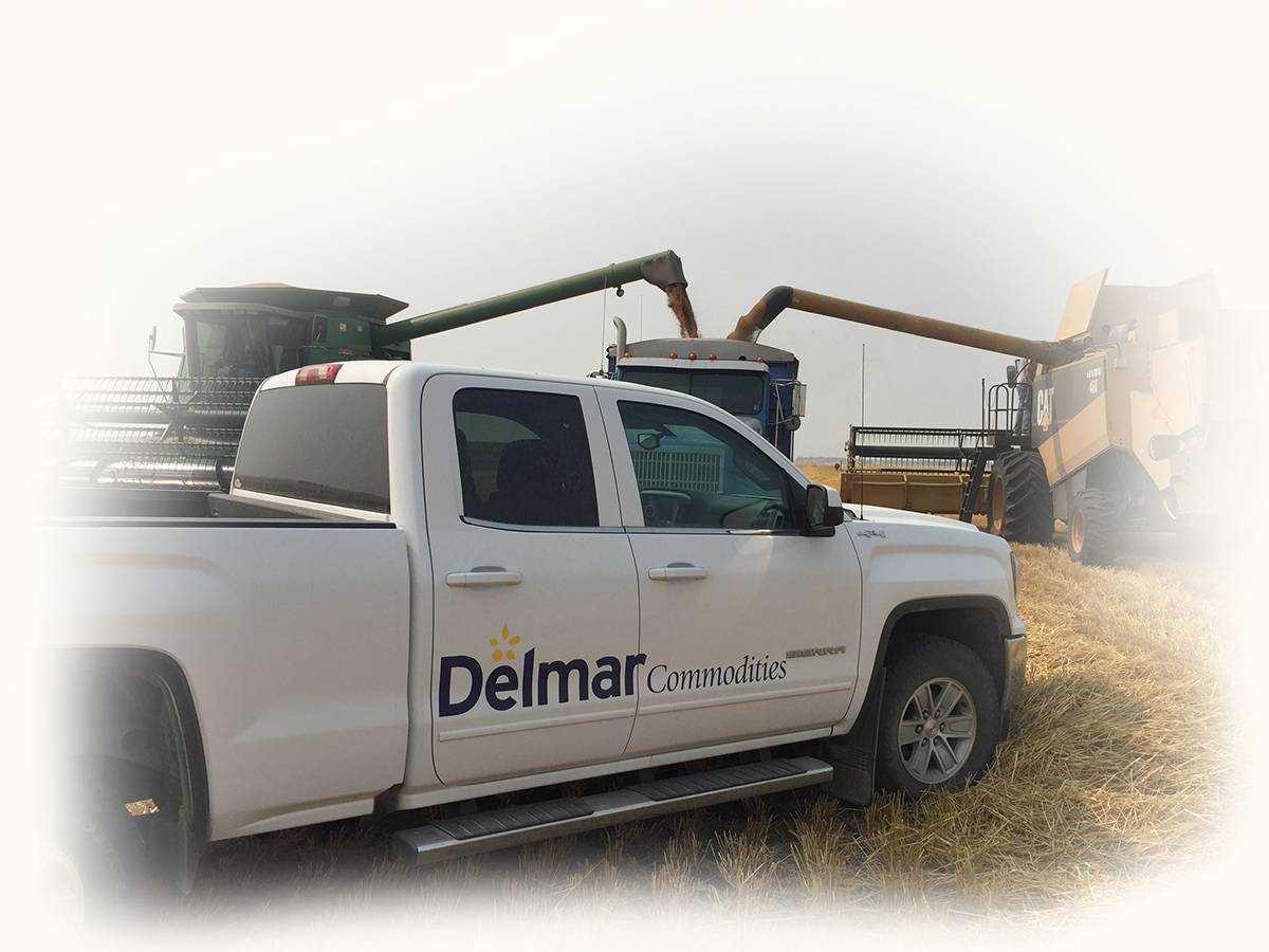 Commodity Buyer for Producers | Commodity Company